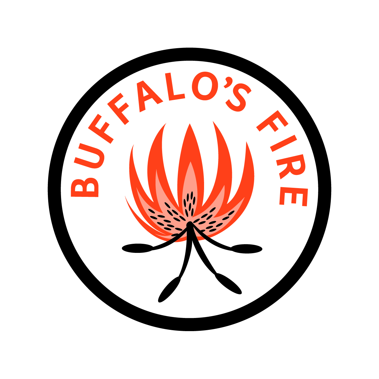 Buffalo's Fire - Report for America